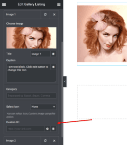 How to Link Elementor Gallery & Carousel Images with Unique URL | The ...
