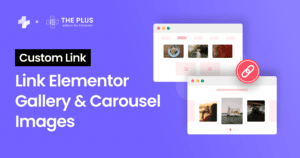 How to Link Elementor Gallery & Carousel Images with Unique URL in 2025