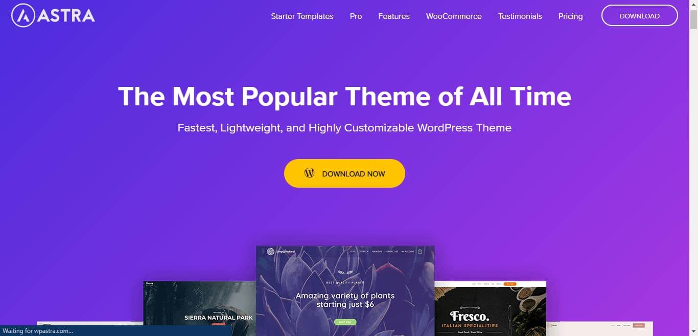 5 Best Free Elementor Themes in 2024 | The Plus Addons for Elementor
