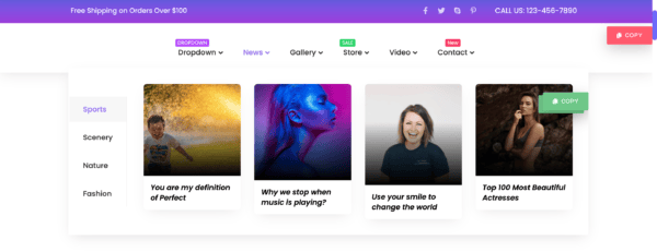 8 Best Mega Menu Examples in 2025 [with How to Guide]