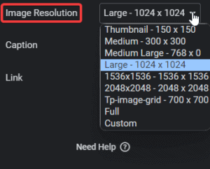 How to Fix Blurry Images in Elementor [SOLVED] | The Plus Addons for Elementor