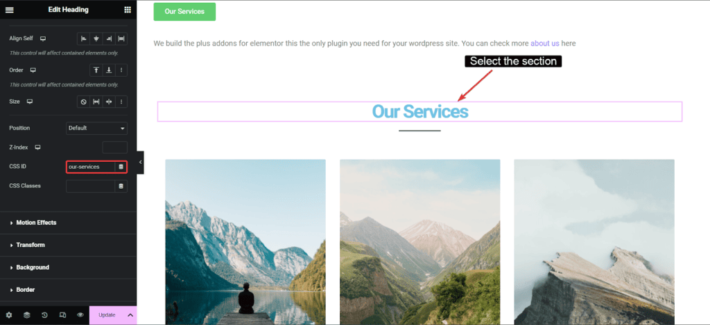 How to Add Anchor Link In Elementor in 2025 [3 Ways]